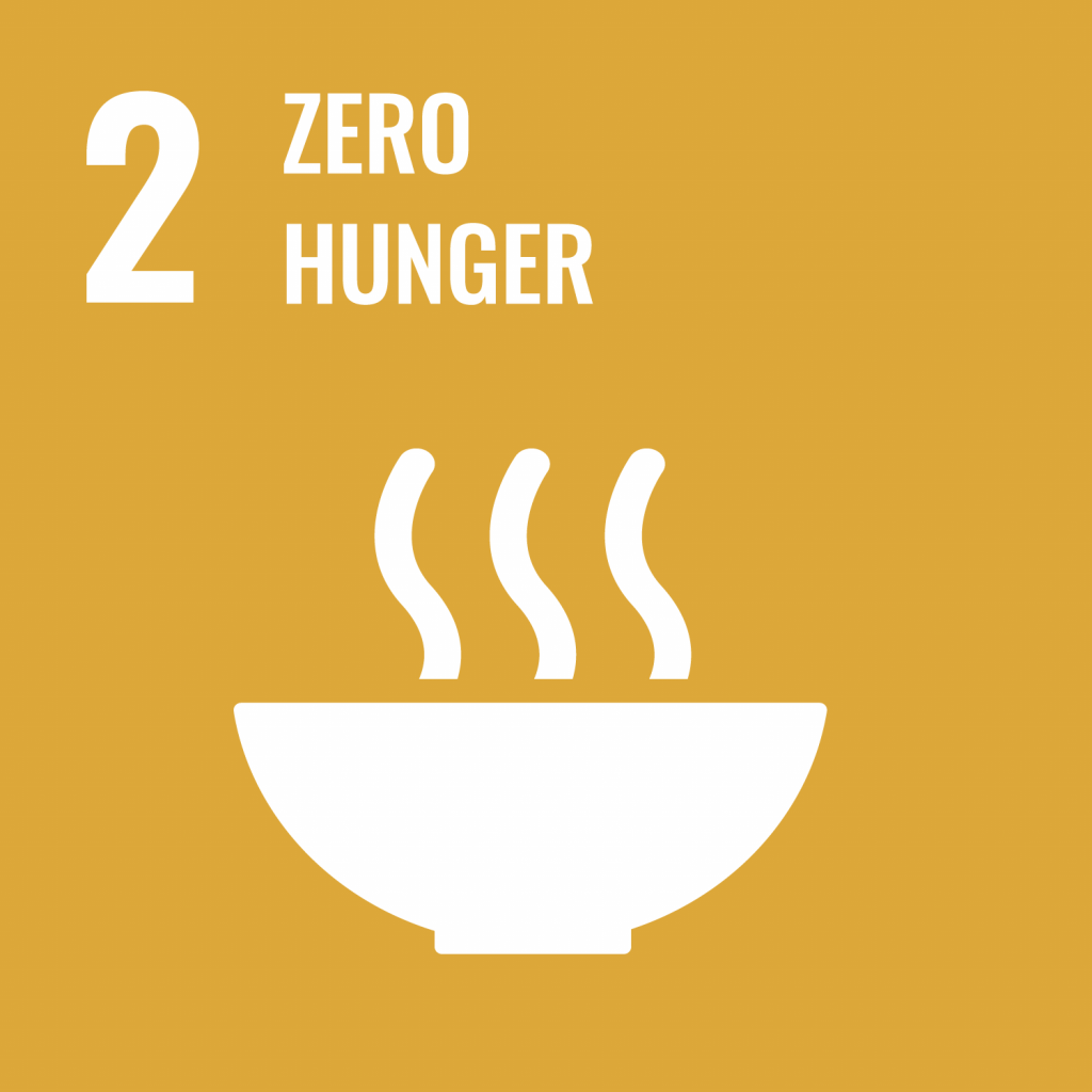 SDGs – CIFAL Philippines